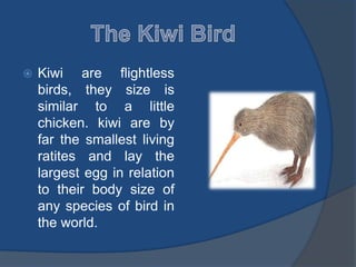 The kiwi savers | PPTX