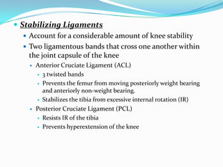 The knee and related structures f09 | PPTX | Death, Injury, or Military ...