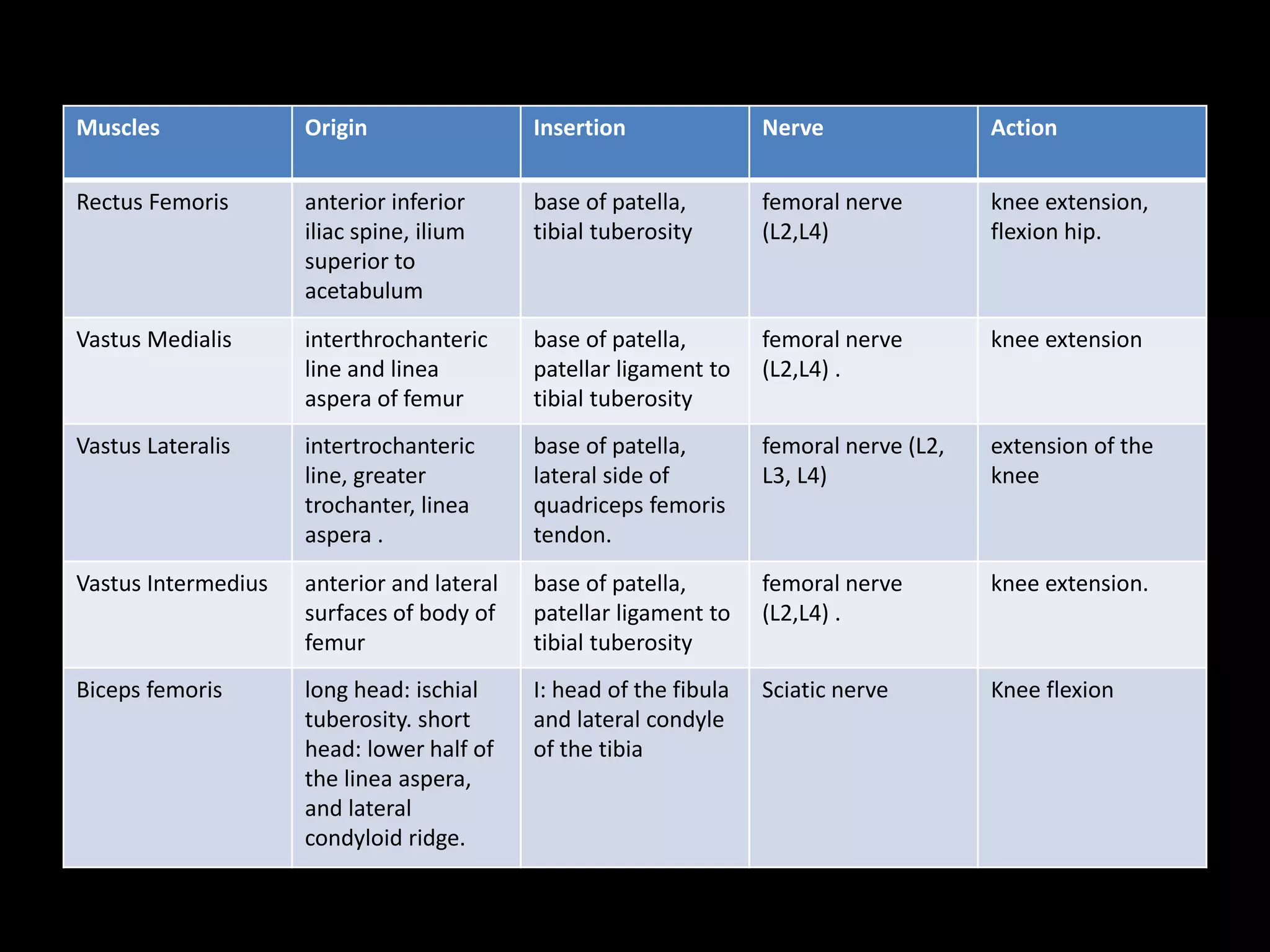 The Knee Complex | PPTX