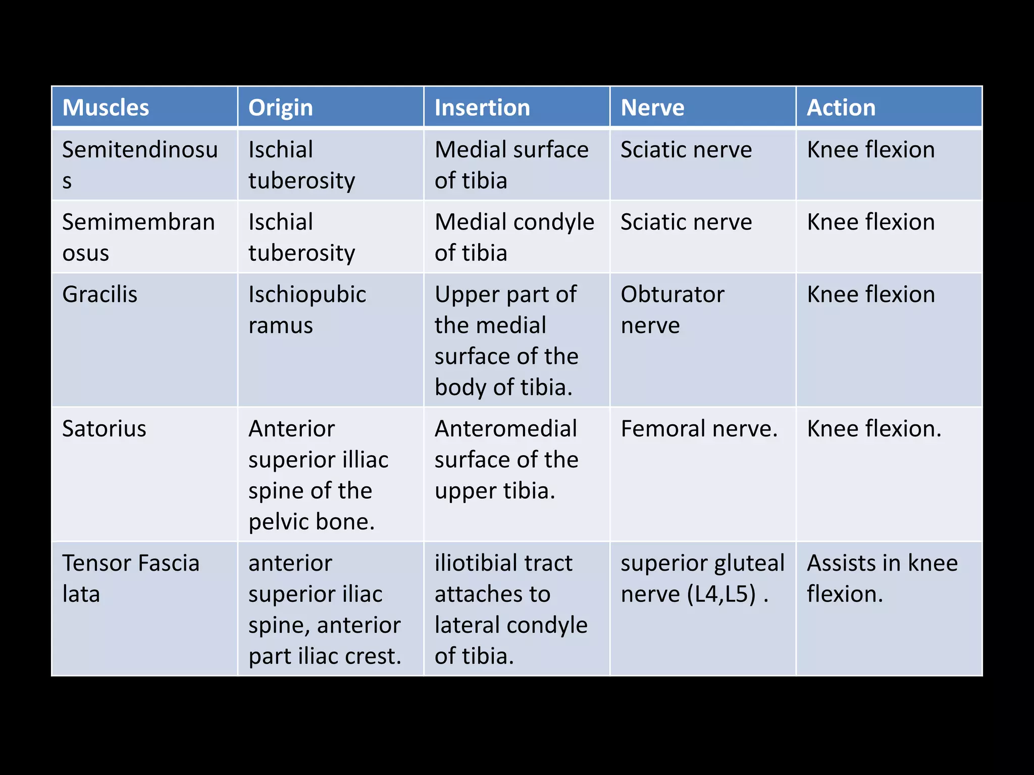The Knee Complex | PPTX