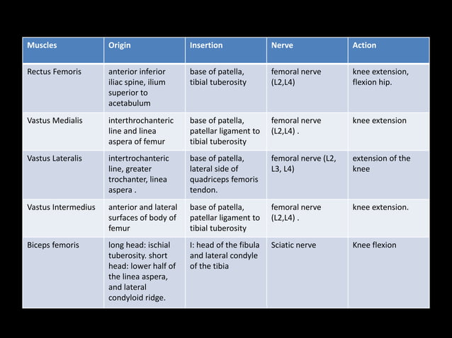 The Knee Complex | PPTX