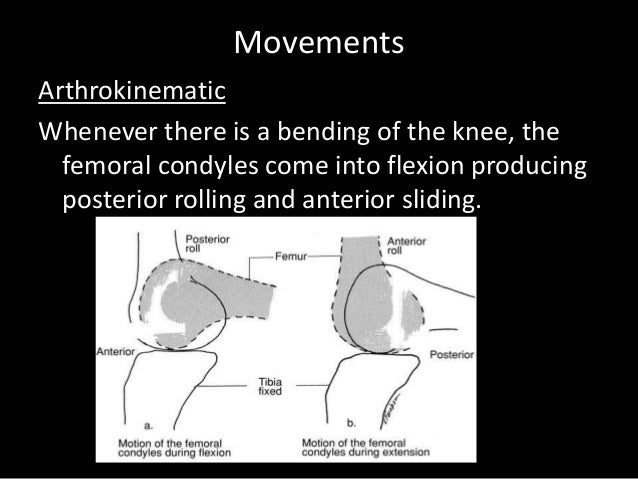 The Knee Complex