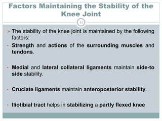 THE KNEE JOINT.pptx