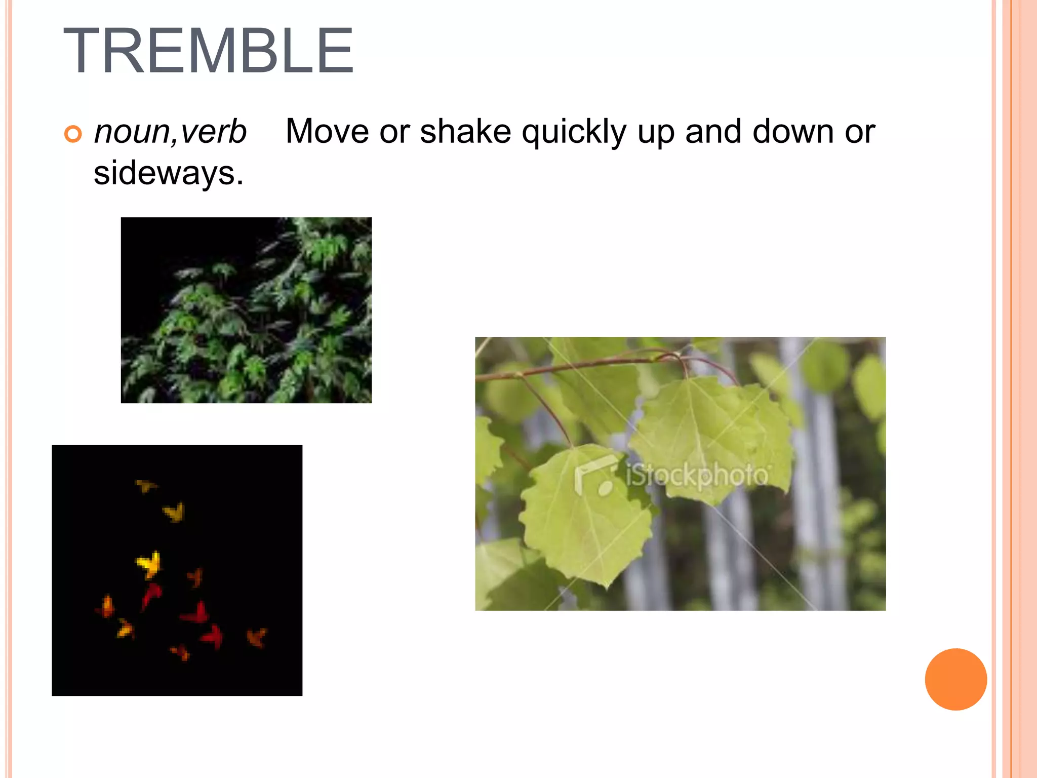 The Knight At Dawn Vocabulary | PPTX