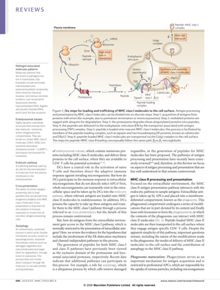 The known unknowns of antigen processing and presentation | PDF