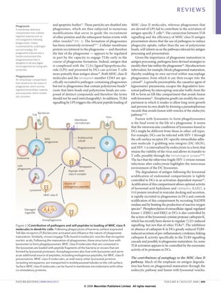 The known unknowns of antigen processing and presentation | PDF