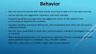 The laboratory rat | PPTX