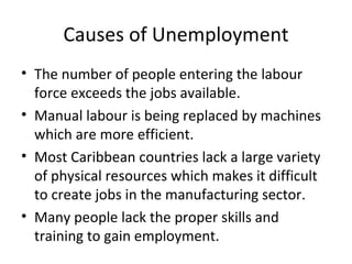 The Labour Force | PPT