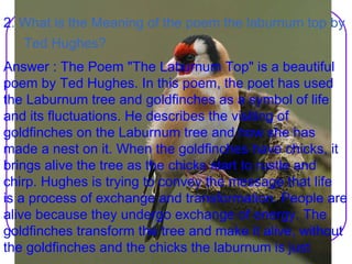 The laburnum top | PPT