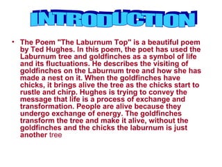 The Laburnum Top | PPT