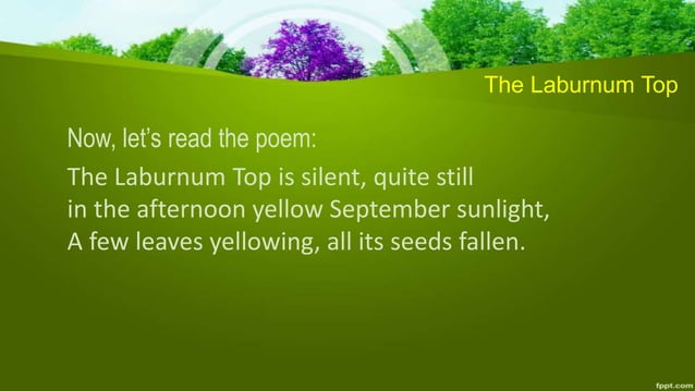 The laburnum top | PPTX | Birds | Pets