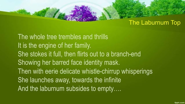 The laburnum top | PPTX | Birds | Pets