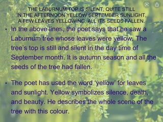 The laburnum top | PPTX | Birdwatching | Hobbies & Interests