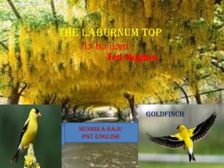The Laburnum Top | PDF