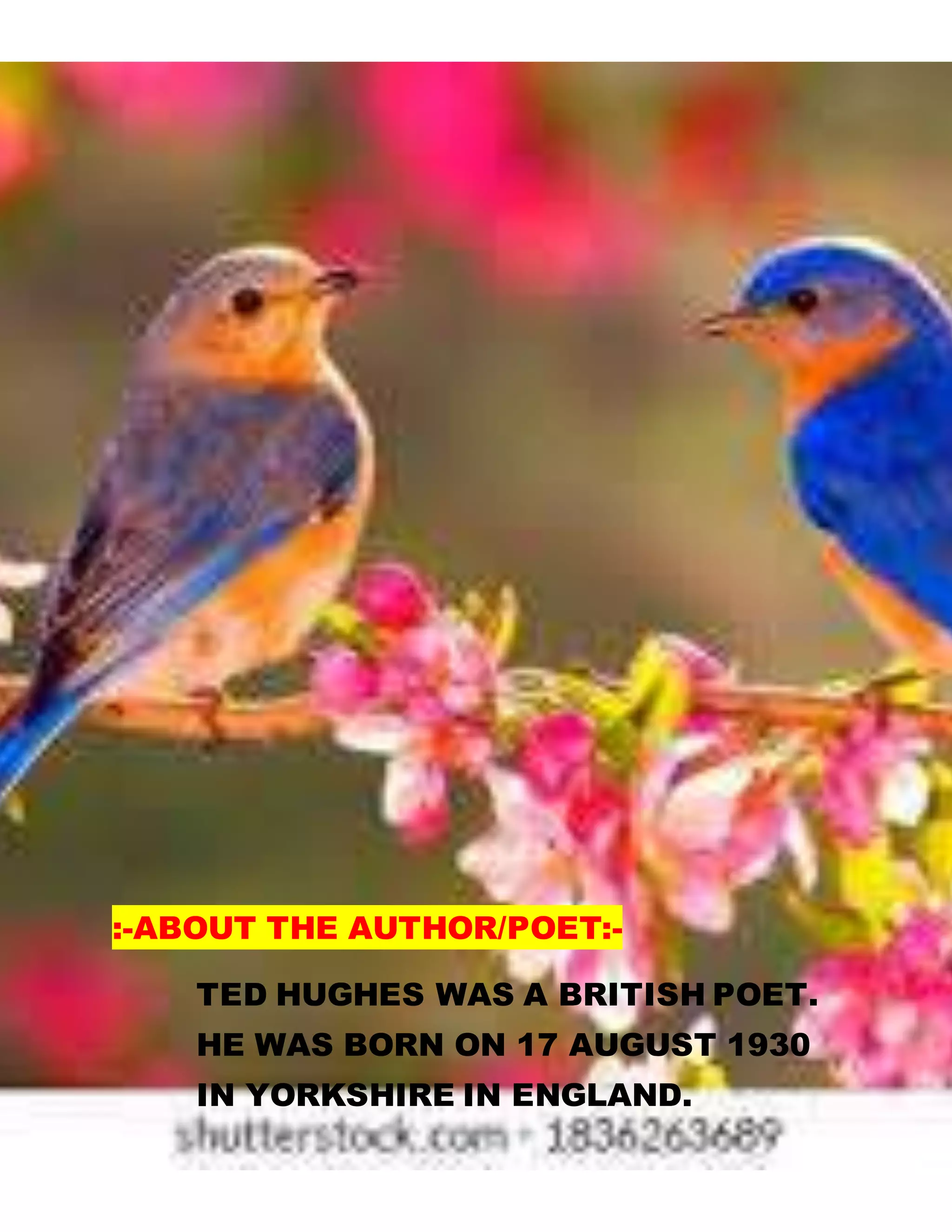 The laburnum top | DOCX