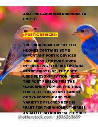 The laburnum top | DOCX