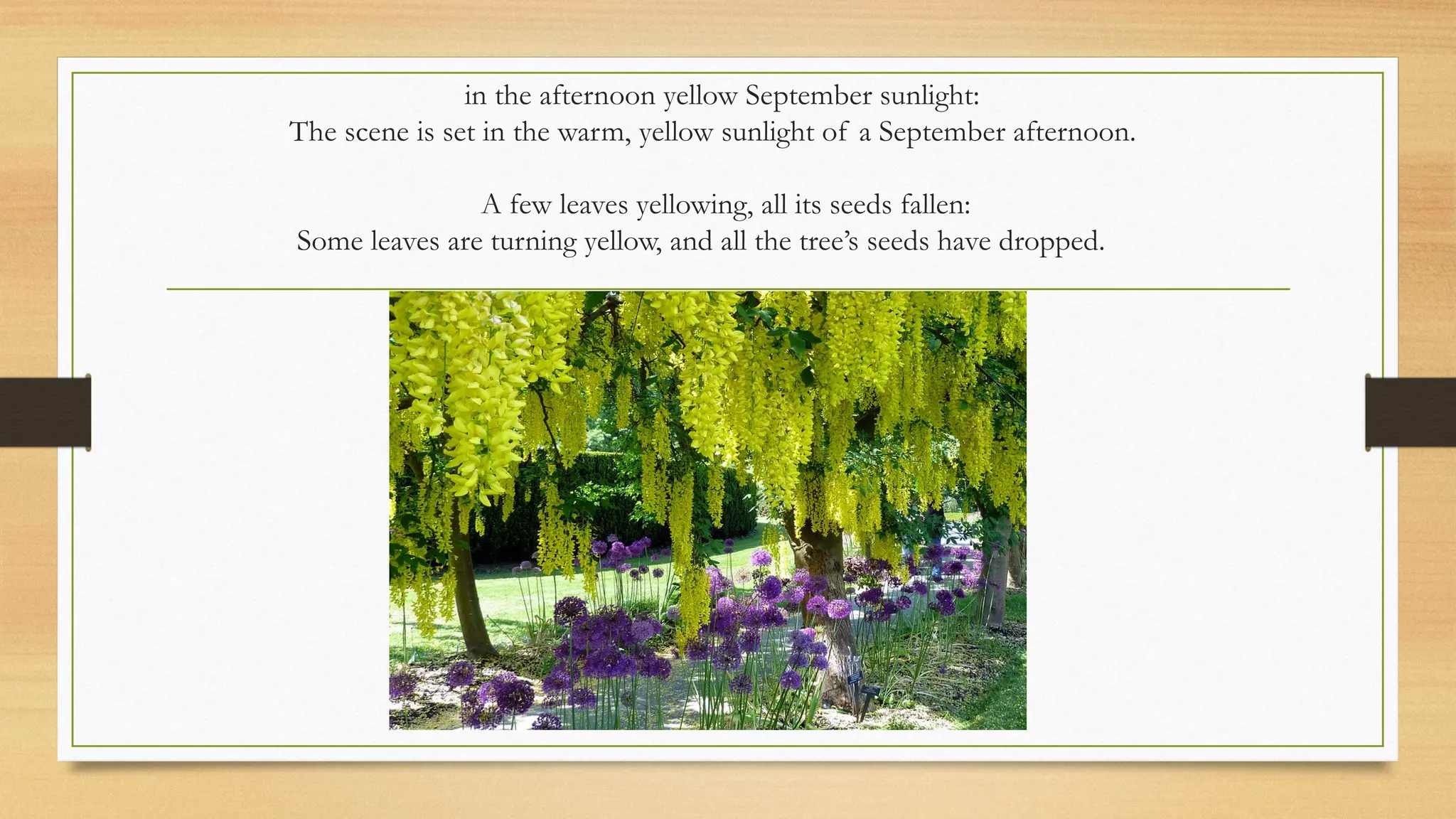 THE LABURNUM TOP.pptx CLASS XII ENGLISHI | PPT
