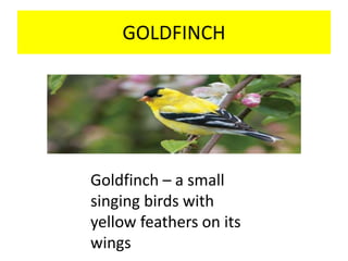 Poetic Devices The Laburnum Top By Ted Hughes Class 11, 56% OFF