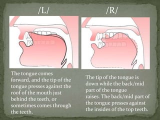 /l/ and /r/ sound | PPTX | Sports