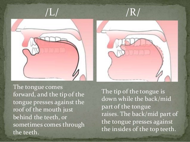 /l/ and /r/ sound