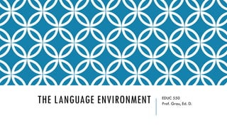 The language environment (1) | PDF