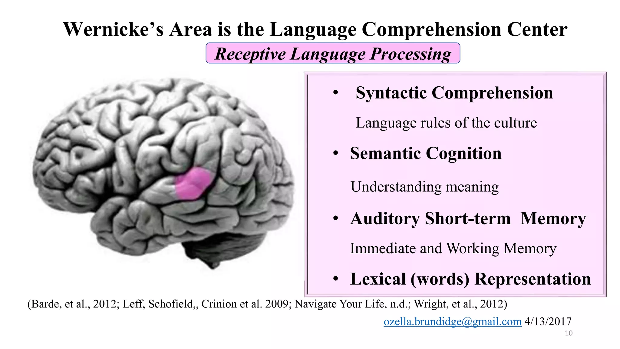 The language learning brain | PPTX