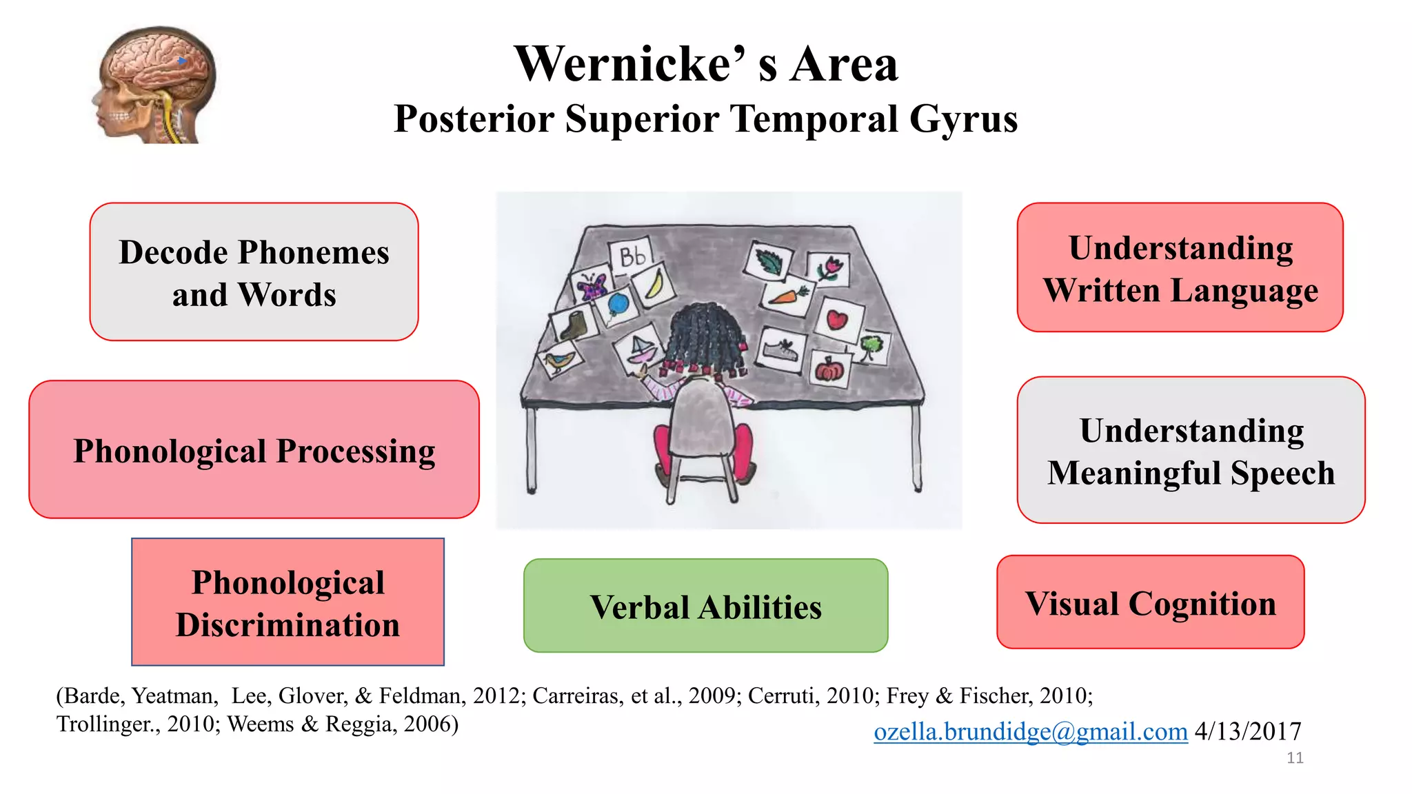 The language learning brain | PPTX