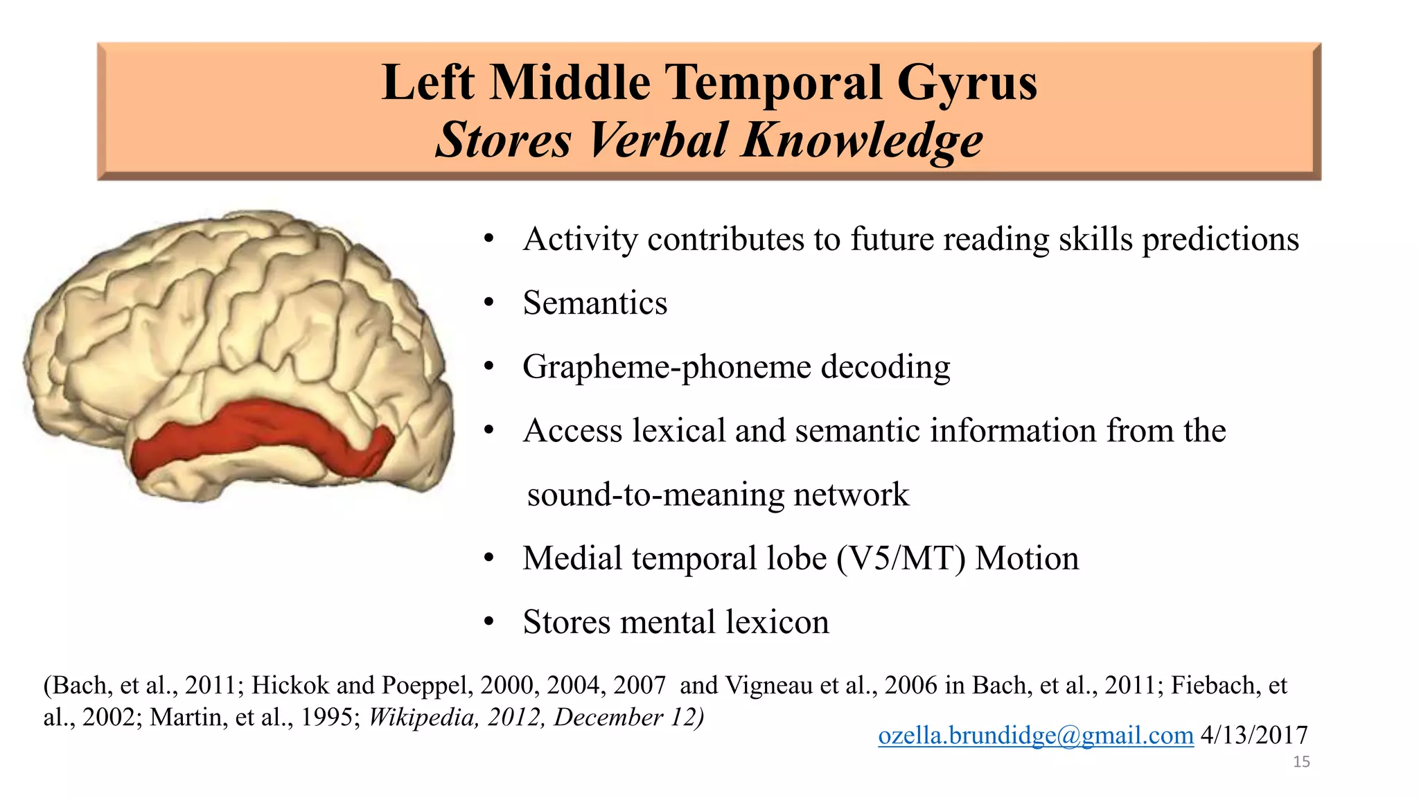 The language learning brain | PPTX