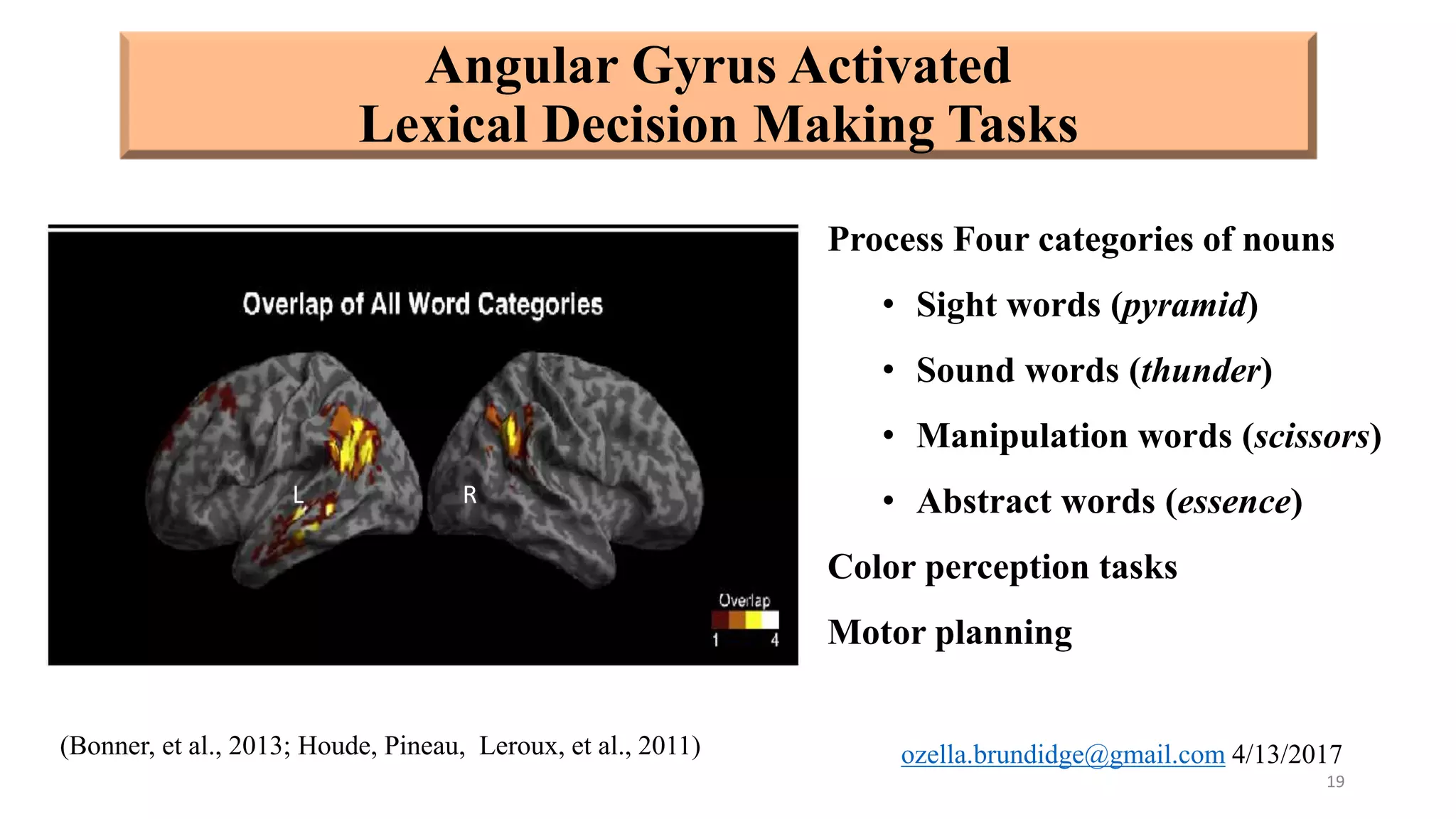 The language learning brain | PPTX