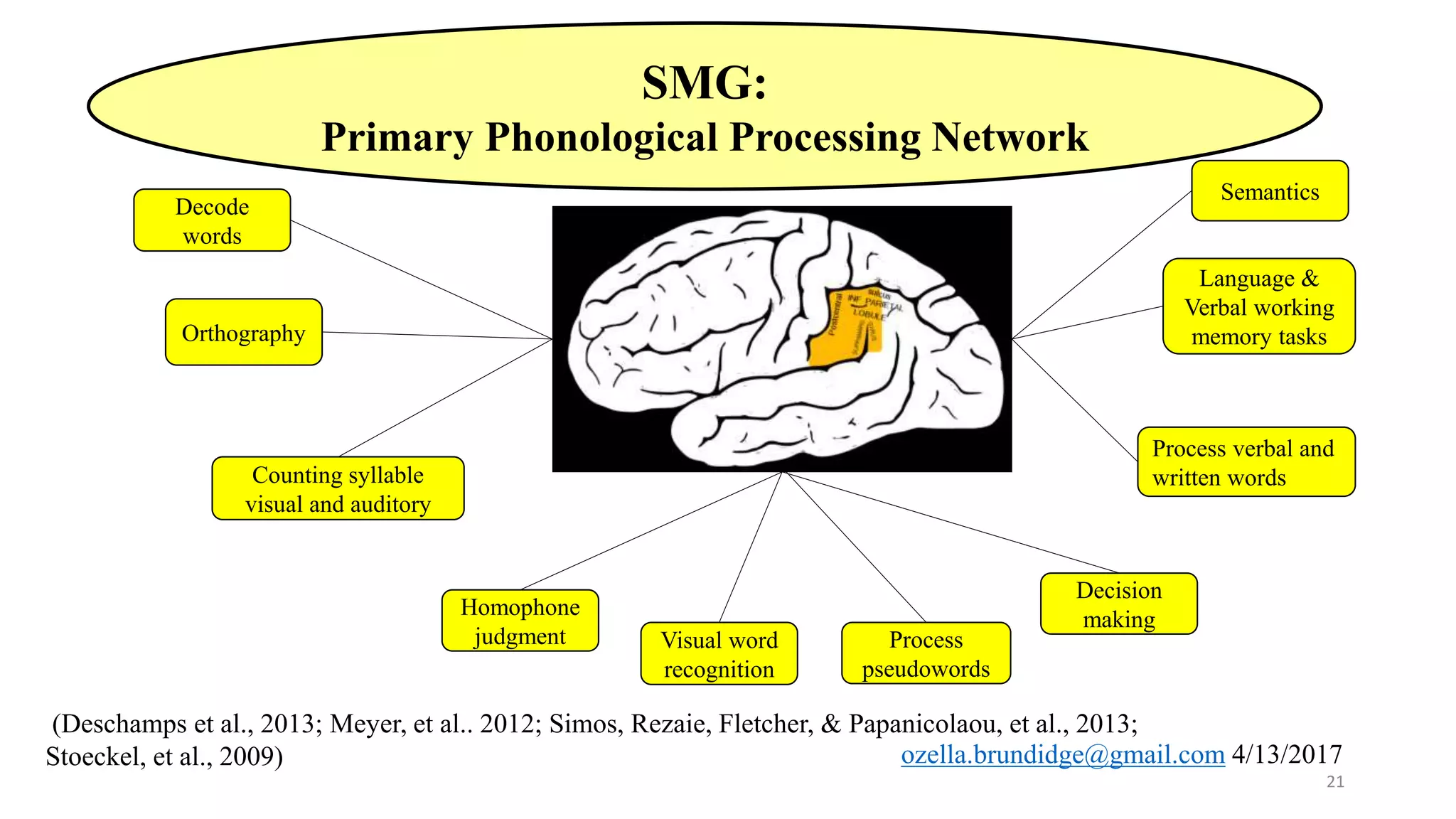 The language learning brain | PPTX