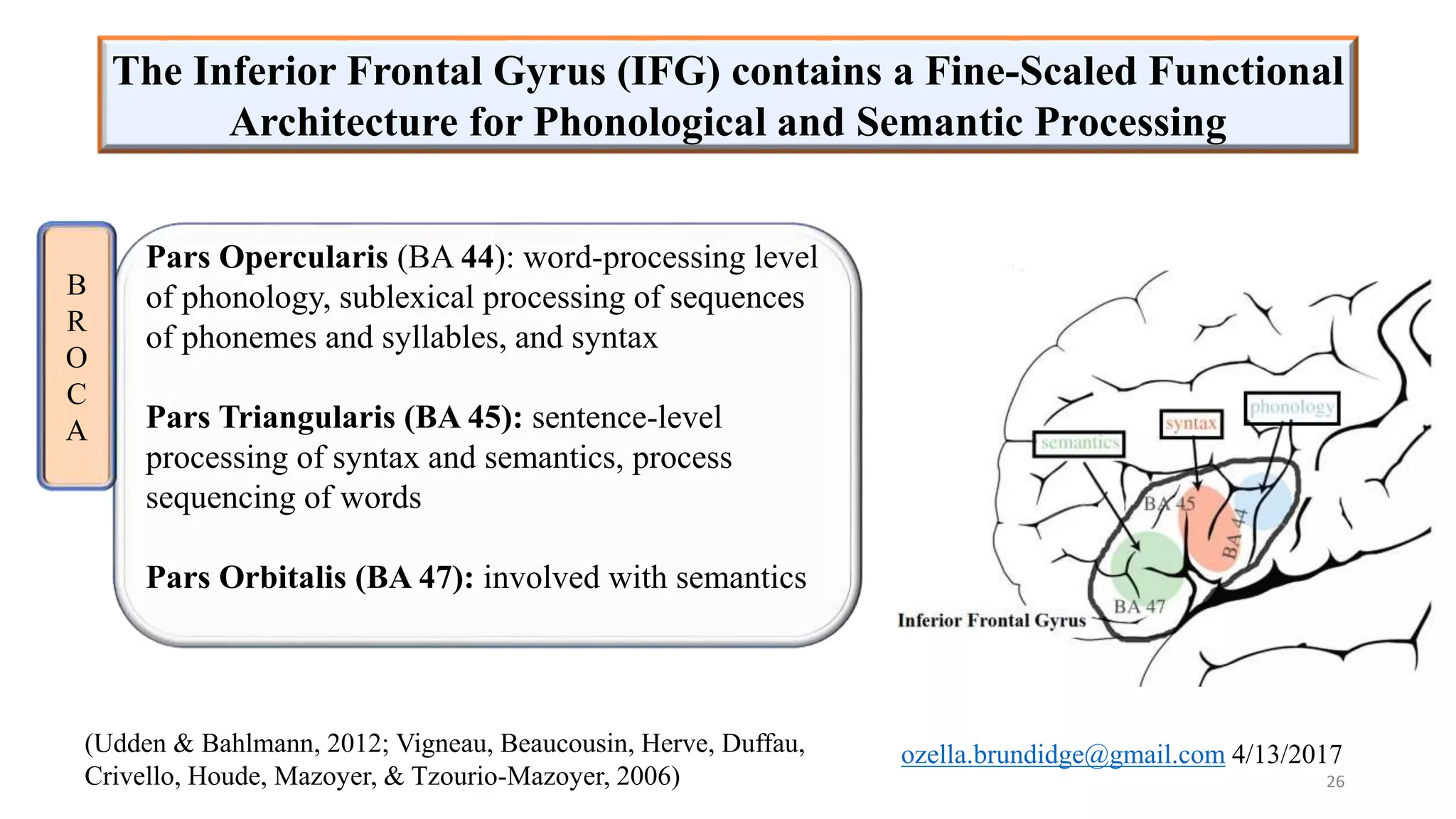 The language learning brain | PPTX