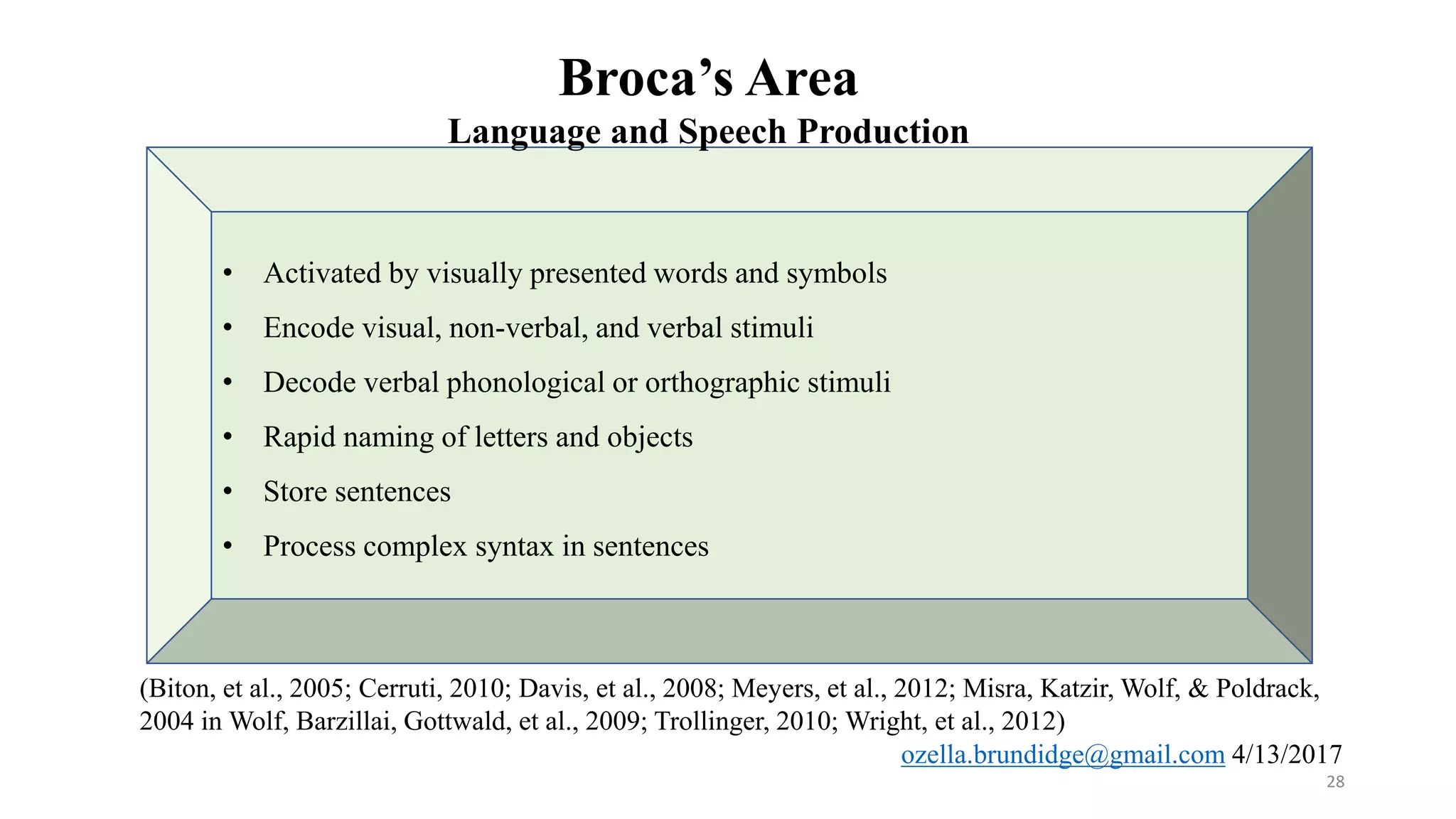 The language learning brain | PPTX