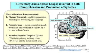 The language learning brain | PPTX