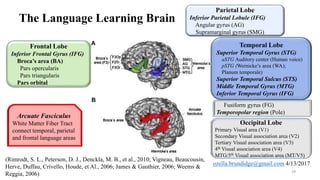 The language learning brain | PPTX