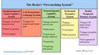 The language learning brain | PPTX