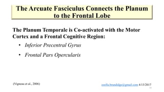 The language learning brain | PPT