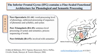 The language learning brain | PPT