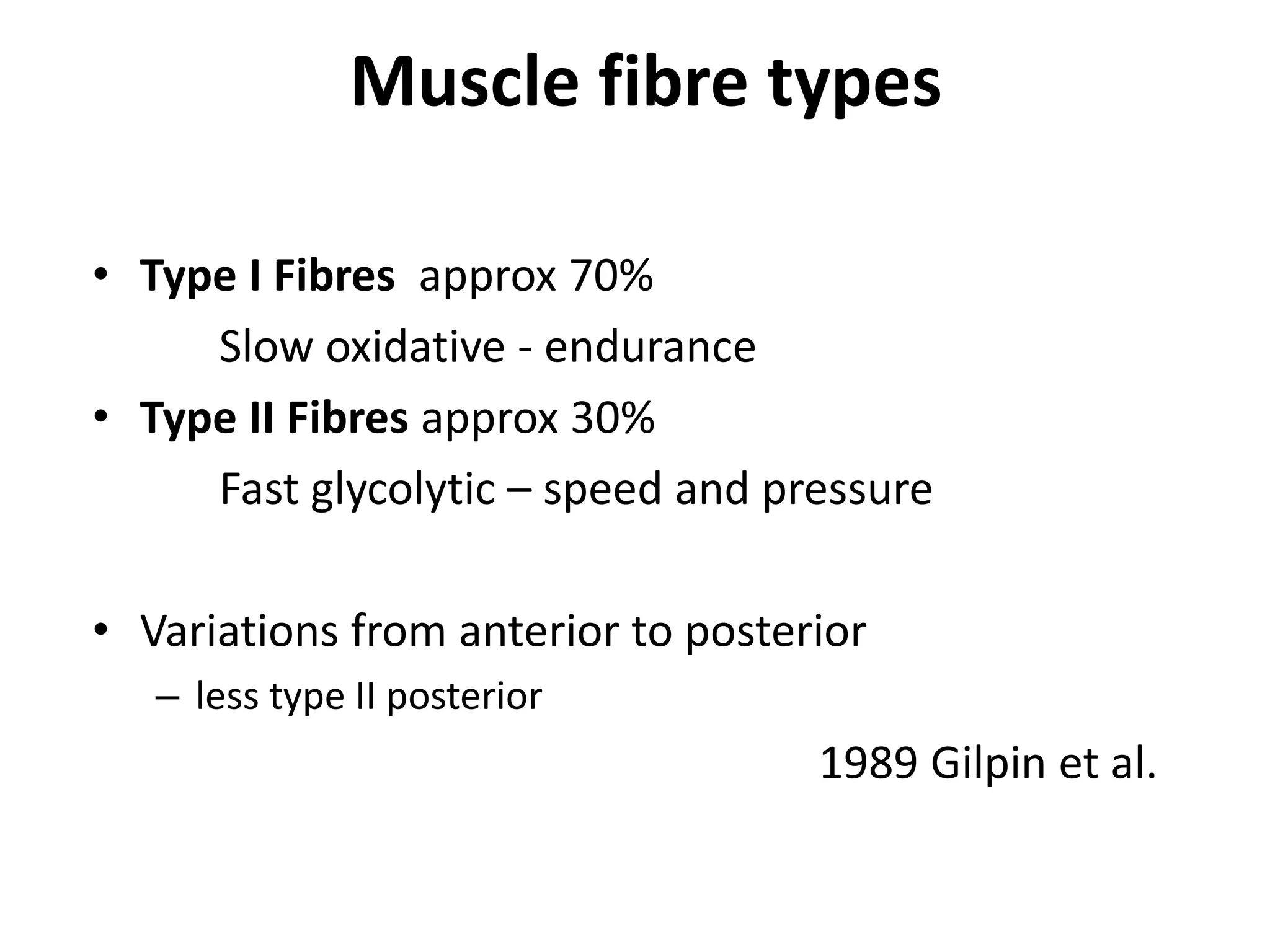 The Large Intestine. The Large Intestine. | PPTX