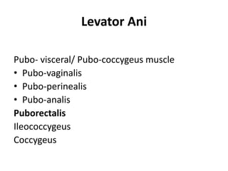 The Large Intestine. The Large Intestine. | PPTX