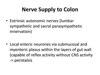 The Large Intestine. The Large Intestine. | PPTX