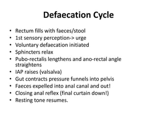 The Large Intestine. The Large Intestine. | PPT