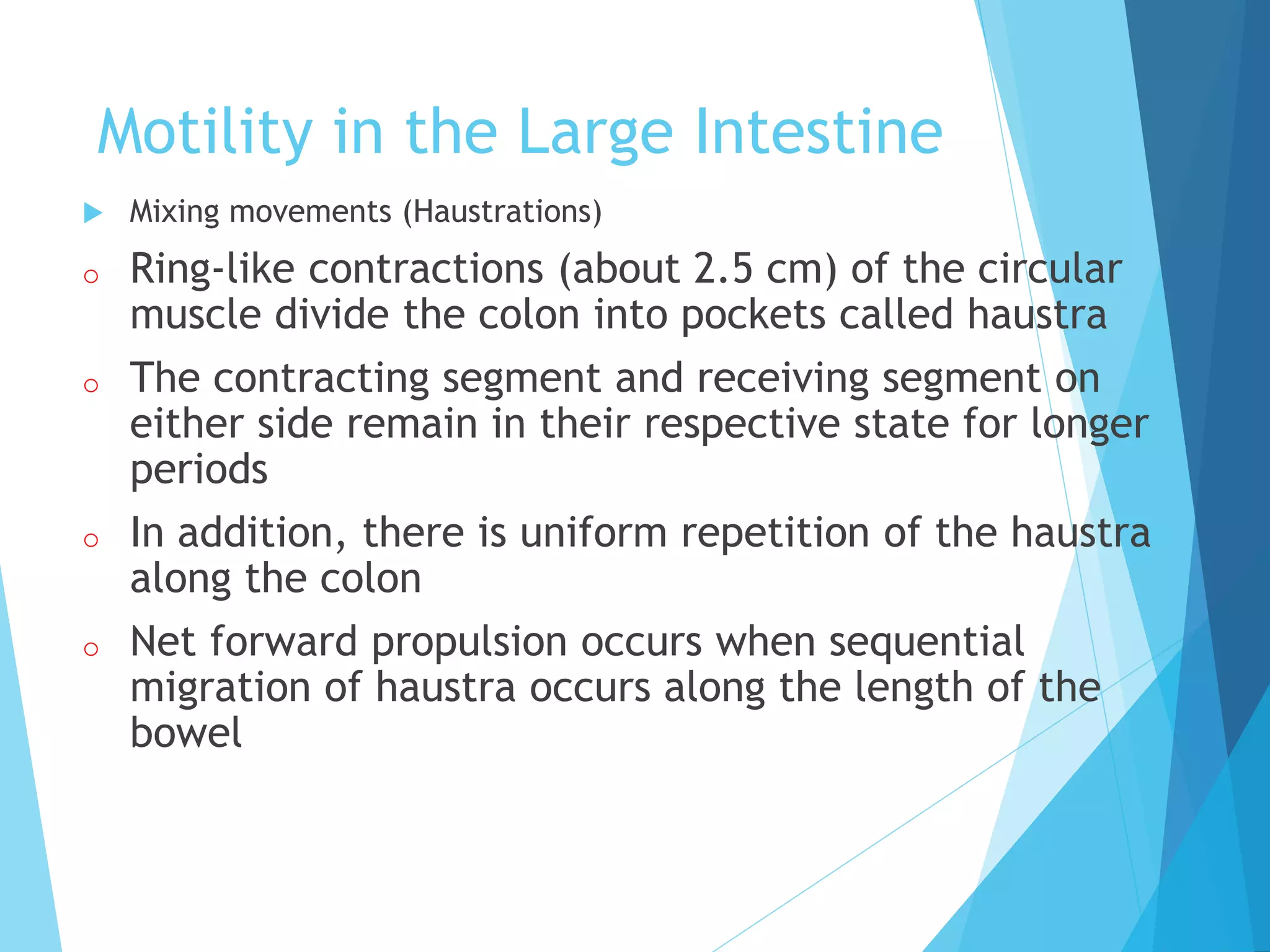 The large intestine by Pandian M. | PPT