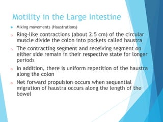 The large intestine by Pandian M. | PPT