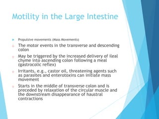 The large intestine by Pandian M. | PPT