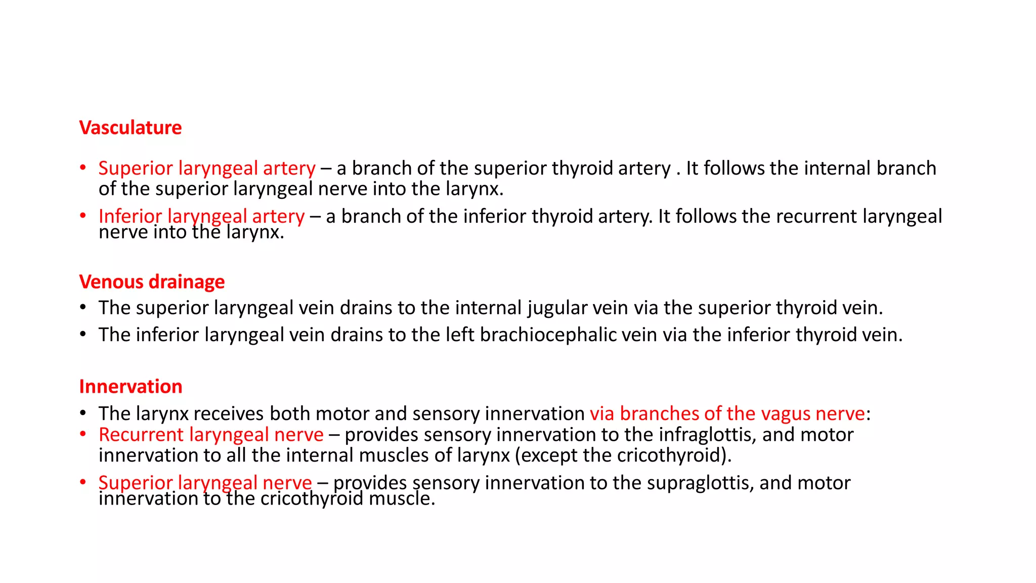 The larynx.pptx