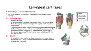 The larynx.pptx