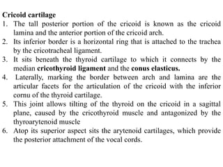 Larynx: Anatomy, Physiology, Clinical Importance | PPT | Free Download