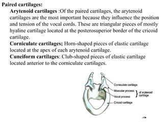 Larynx: Anatomy, Physiology, Clinical Importance | PPTX