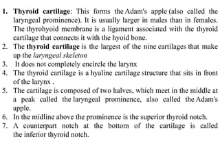 Larynx: Anatomy, Physiology, Clinical Importance | PPTX