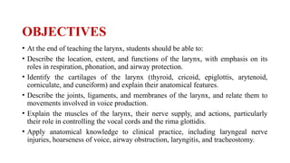 THE LARYNX: The larynx Anatomy, Its structure and blood supply | PPTX